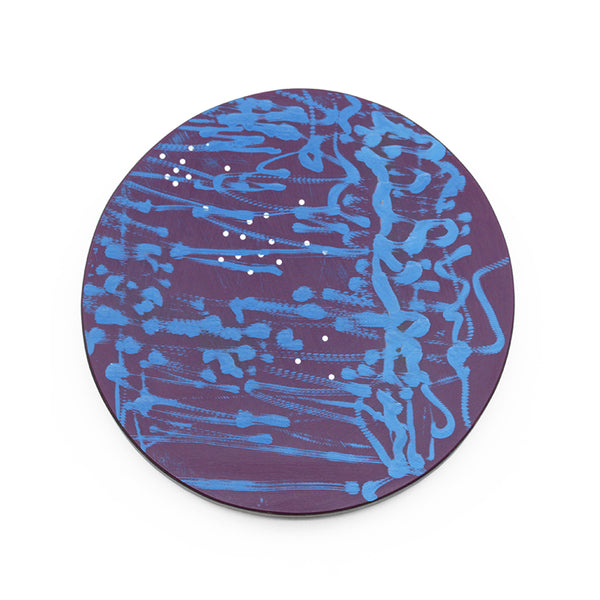 Gallery | Emily Kidson